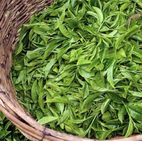 10 Ugandan delicacies you must try! - Karungi Camp